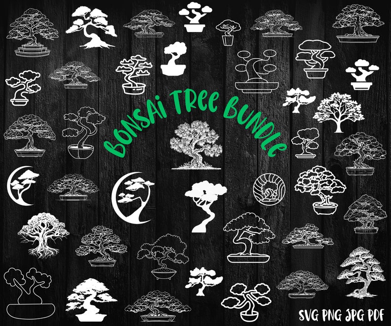 Bonsai SVG Bundle, Japanese Bonsai Tree Bundle, Japan Clip Art Image ...