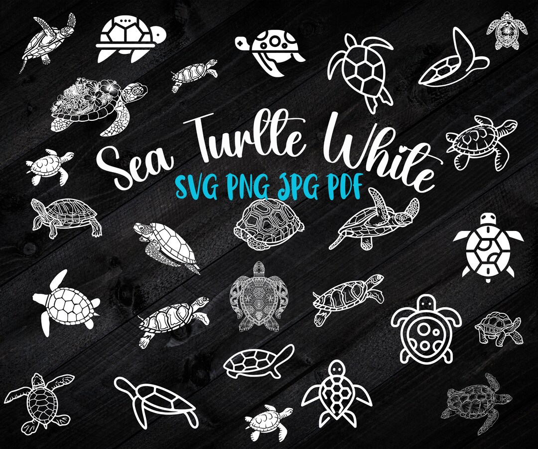 Sea Turtle SVG Bundle, Beach SVG , Sea Turtle Png, Floral Turtle Svg ...