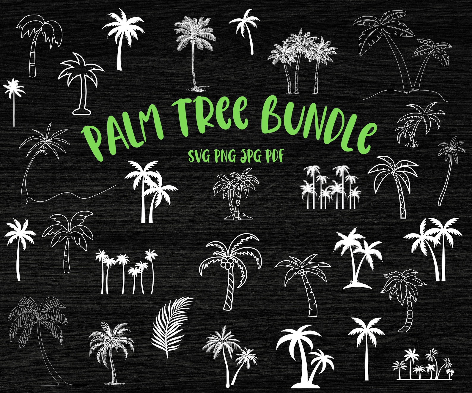 Palm Tree SVG Bundle, Palm Trees PNG Bundle, Palm Tree Clipart, Palm ...
