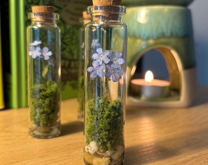 Tall Forget Me Not Botanical Jars / Gift / Ornaments - Etsy