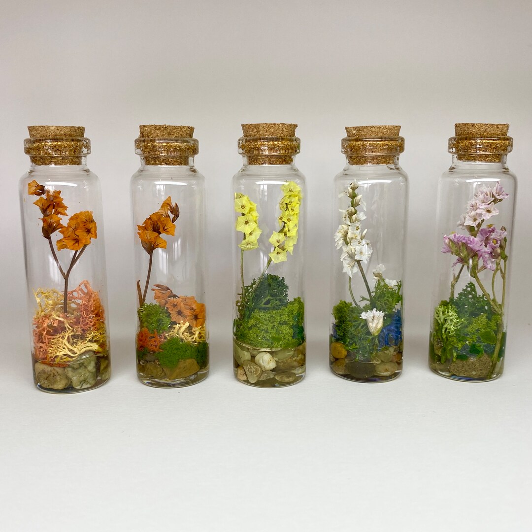 Beautiful Tall Botanical Jar Trinkets , Perfect Cottage Core Gifts ...