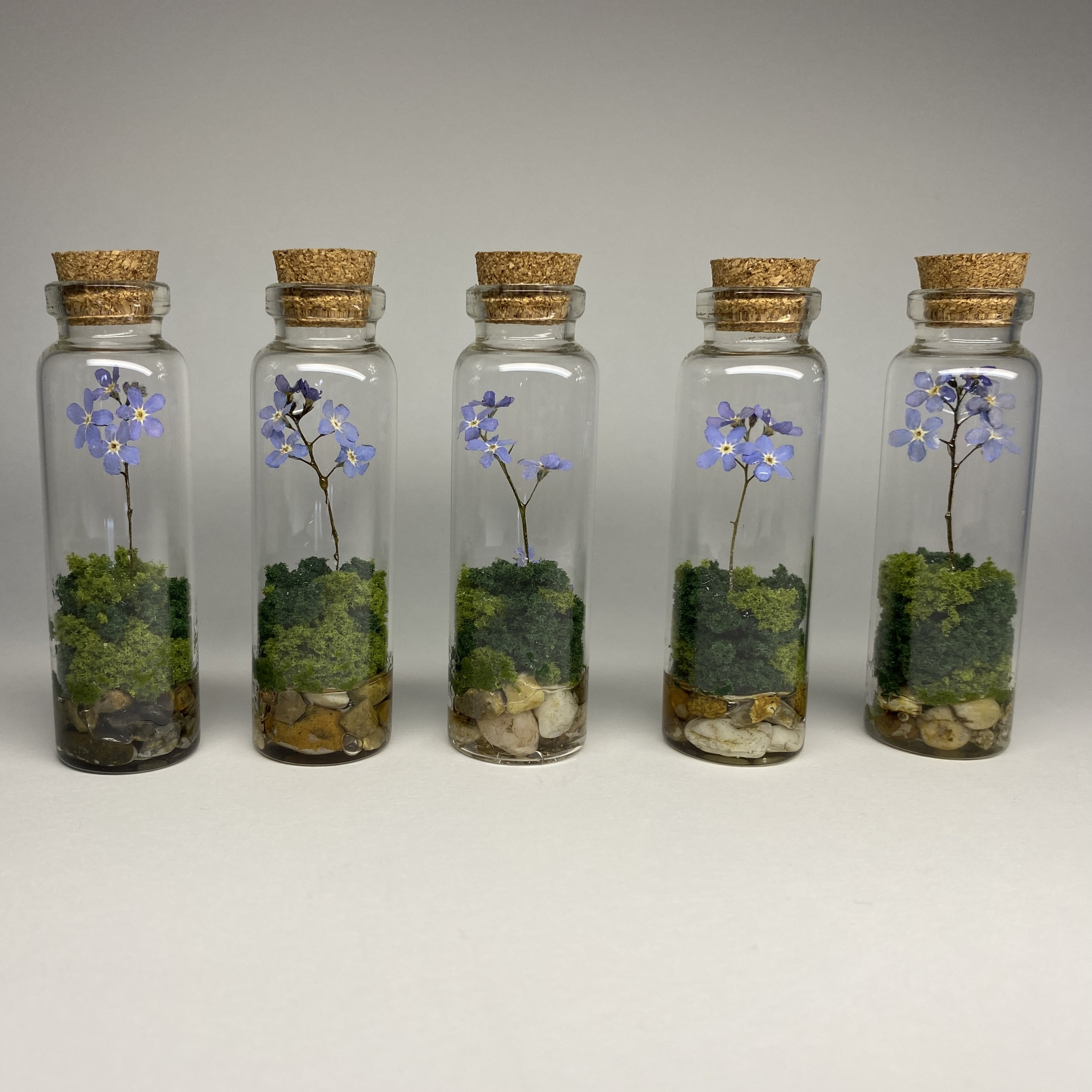 Tall Forget Me Not Botanical Jars / Gift / Ornaments - Etsy
