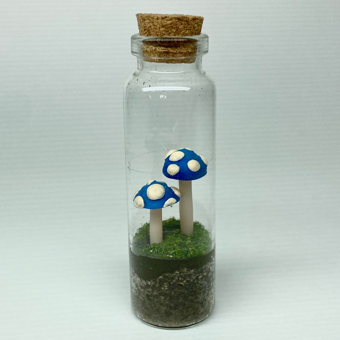 Mini Blue Toadstool Terrarium Jar Trinkets - Etsy
