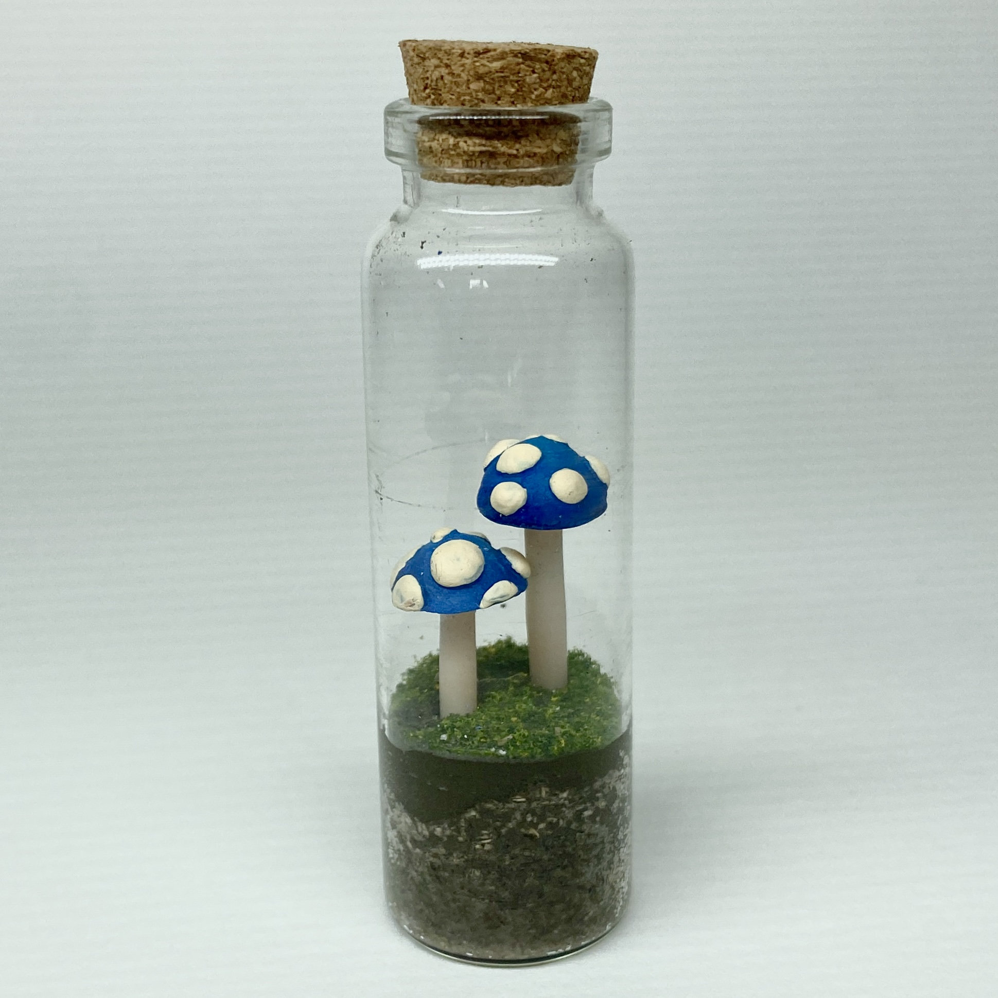 Mini Blue Toadstool Terrarium Jar Trinkets - Etsy