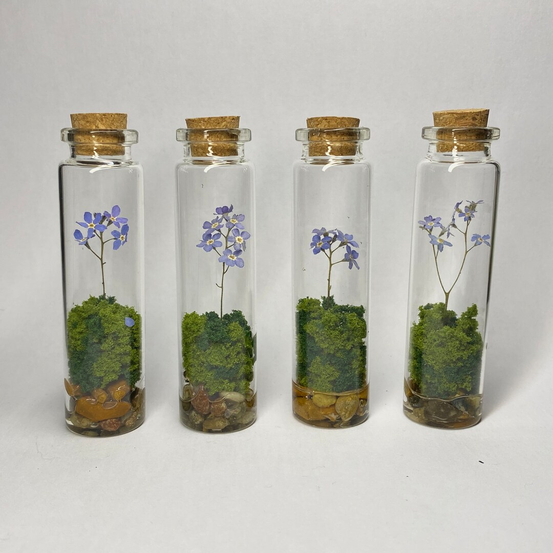 Tall Forget Me Not Botanical Jars / Gift / Ornaments - Etsy