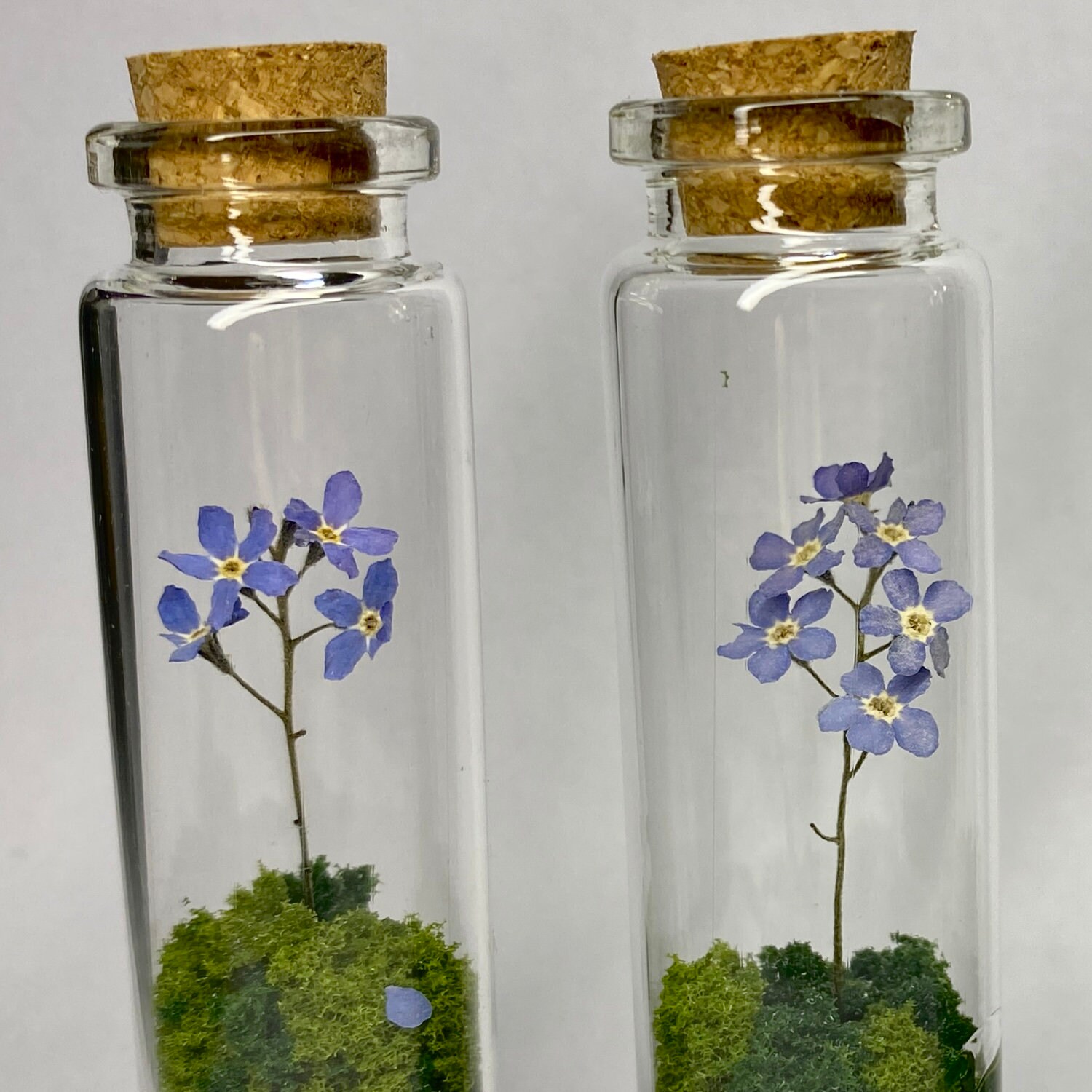 Tall Forget Me Not Botanical Jars / Gift / Ornaments - Etsy