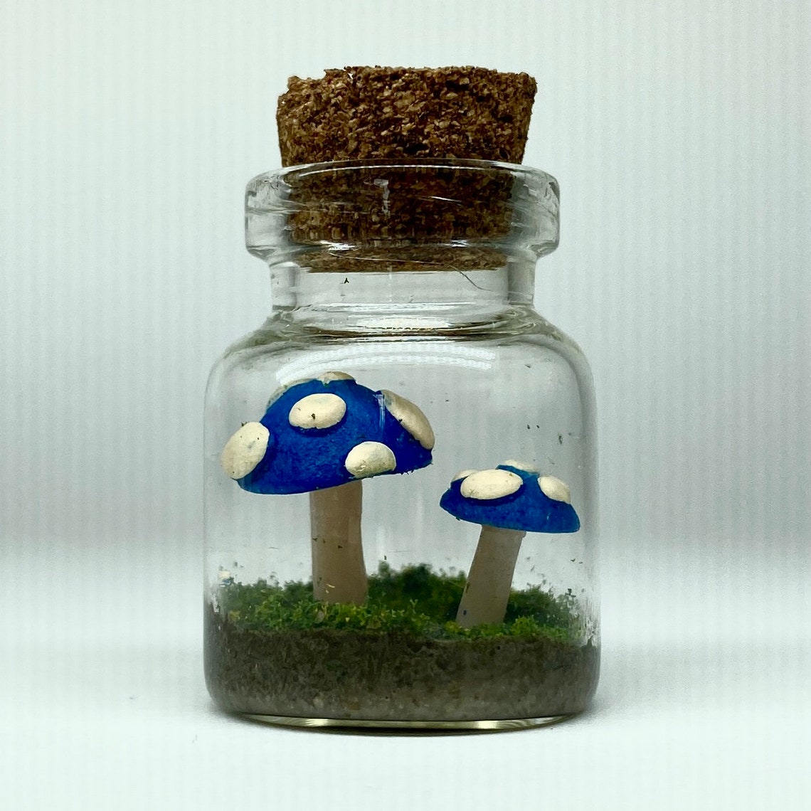 Mini Blue Toadstool Terrarium Jar Trinkets - Etsy