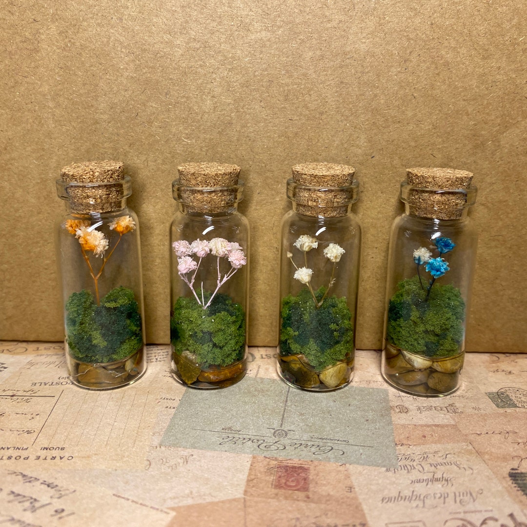 Mini Babies Breath Preserved Flower Terrarium Ornament. - Etsy