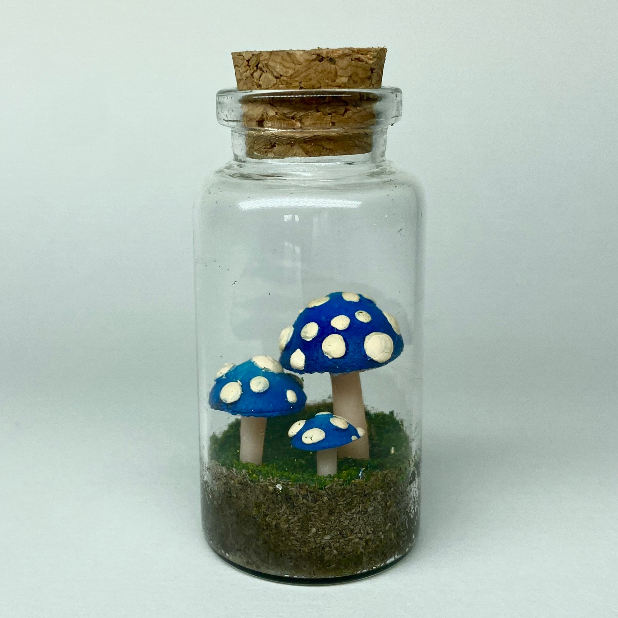 Mini Blue Toadstool Terrarium Jar Trinkets - Etsy