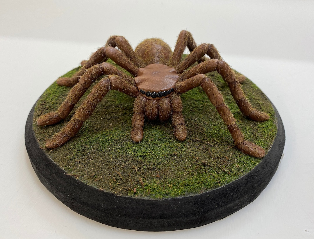Prop Tarantula Spider Sculpture and Base - Etsy