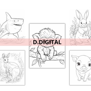 Animal Coloring Book, Coloring Pages for Kids and Adult, Animals for ...