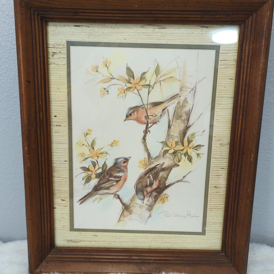 Vintage Birds in Tree by Paul Whitney Hunter Wood Framed Art Print ...