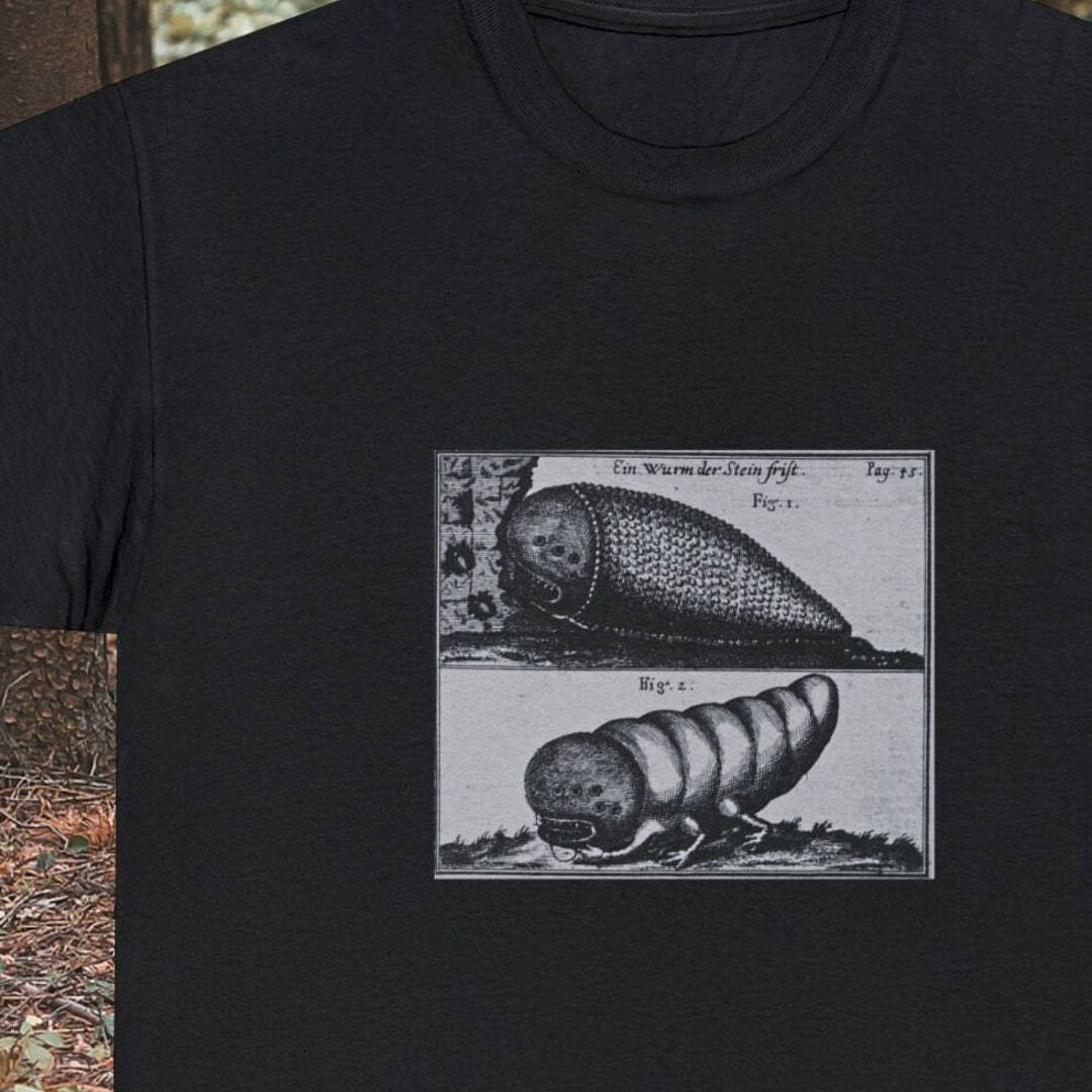 Solomon's Shamir Tee, Historical Demons, Asmodeus, Demonology - Etsy
