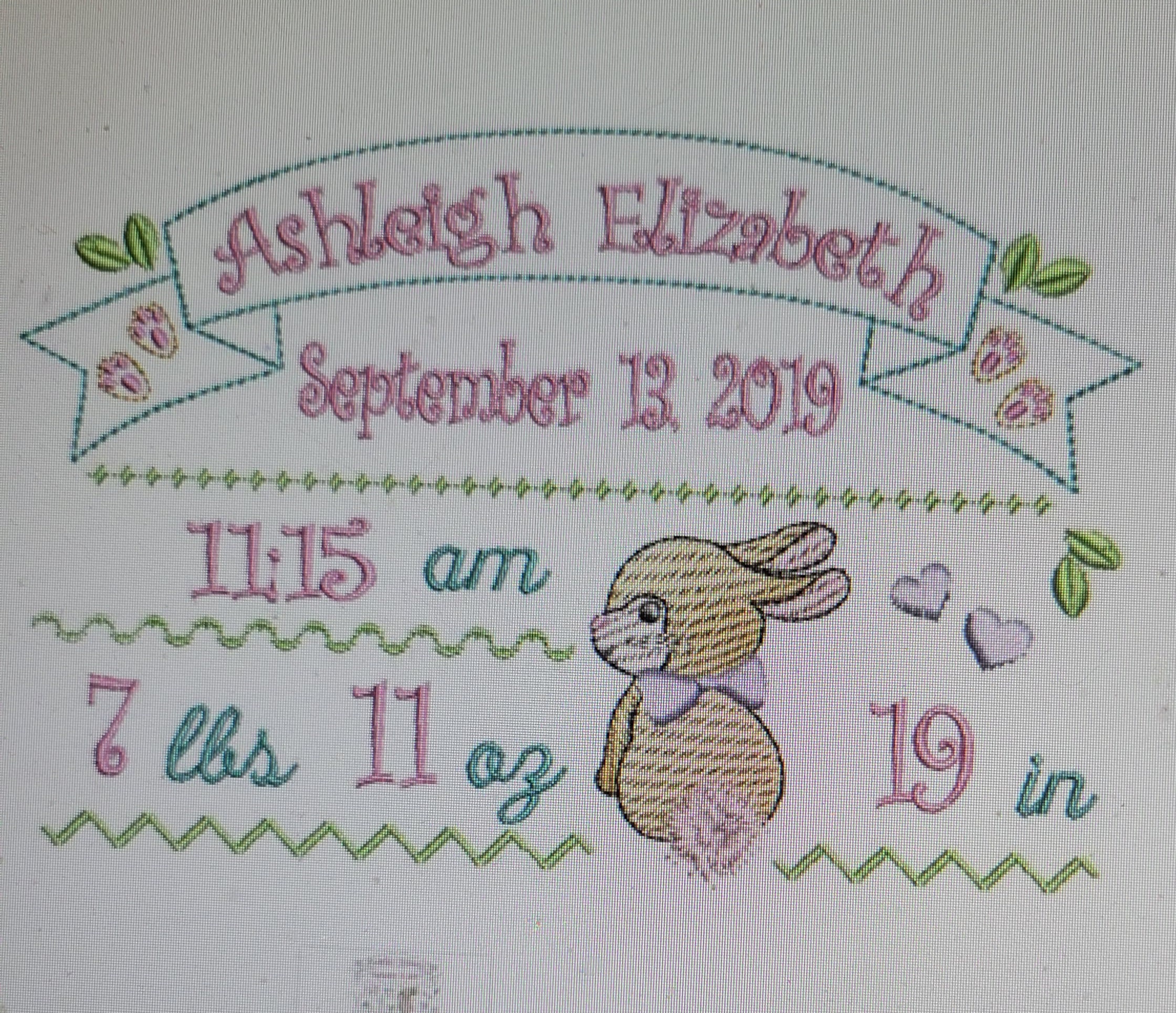 Embroidered, Personalized Baby Announcement Pillow Conver. Perfect New ...
