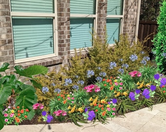 Landscape Design Zone 8 Front Yard Full Sun Evergreen - Etsy