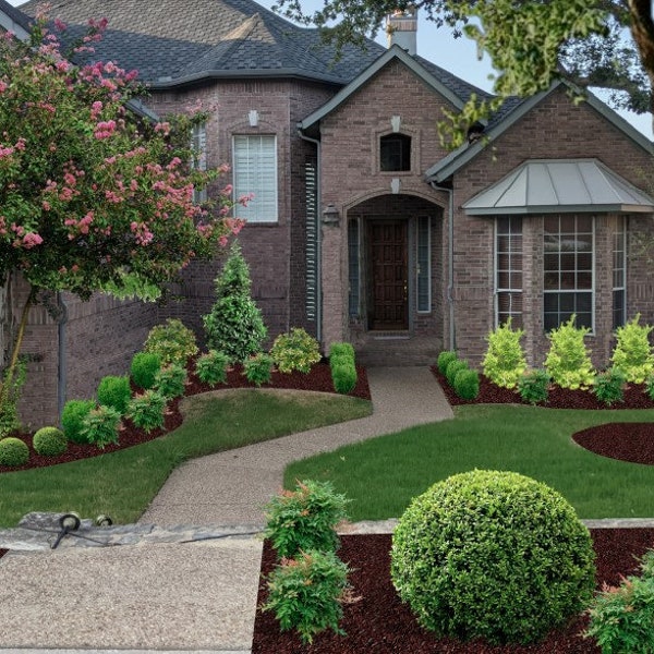 Landscape Design Plan Full Sun - Etsy