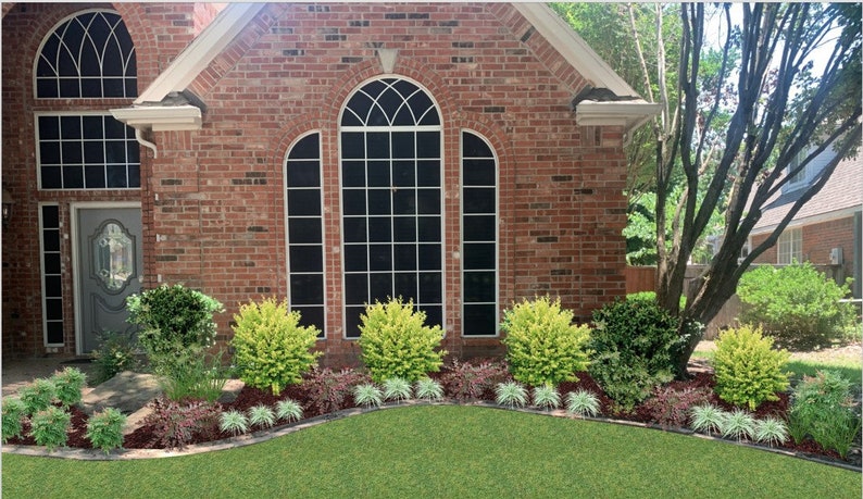 Landscape Design Zone 8 Front Yard Partial Sun Full Sun Evergreen Yard ...