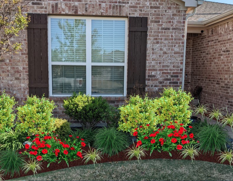 Shrub Options, Zone 8 Landscape Design Front Yard Partial Sun Full Sun ...