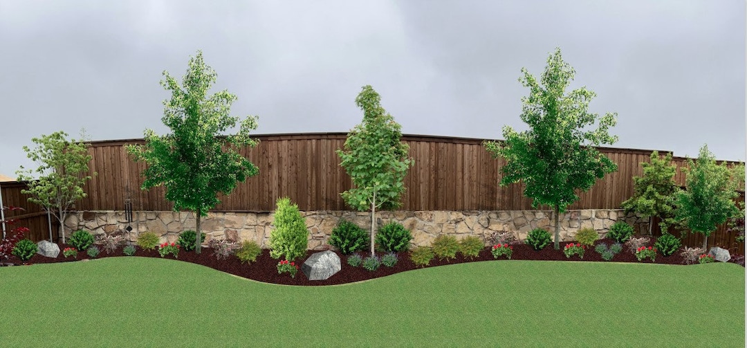 Simple Landscape Design Zone 8 Back Yard Partial Sun Full Sun Evergreen ...