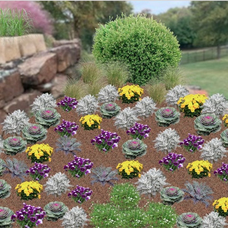 Landscape Design Plan Full Sun - Etsy