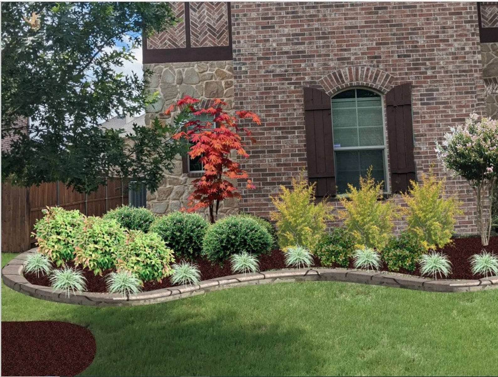 Zone 8, Large North Texas Front Yard, Partial-full Sun, Evergreen ...