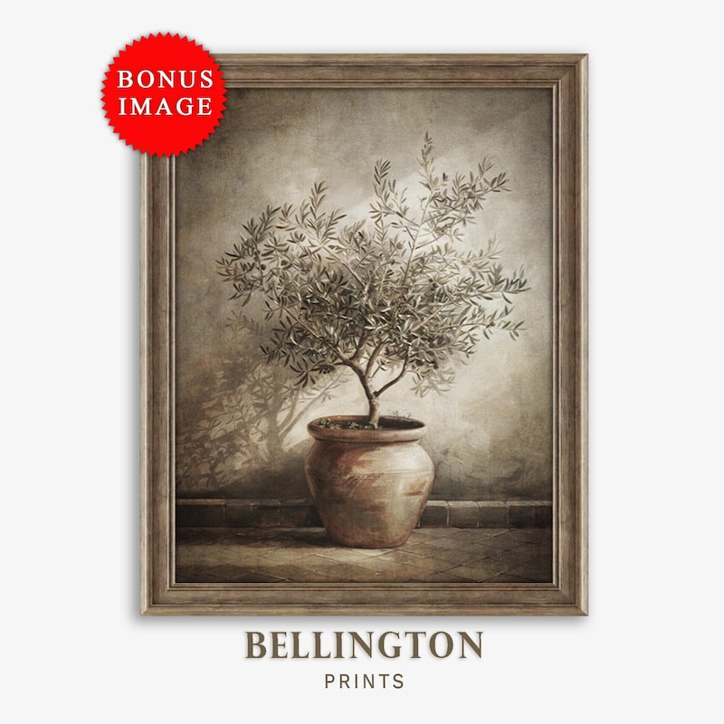 Olive Tree Canvas Print - Etsy UK