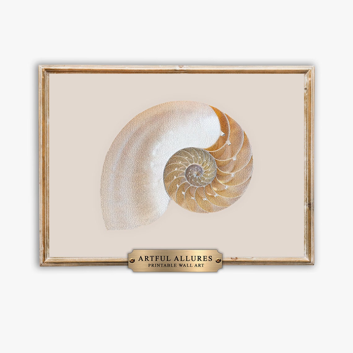 Printable Seashell Wall Art, Seashell Art, Seashell Bathroom Decor ...