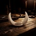 Resin Cosplay Orc Tusks Boar Double Style lower Teeth - Etsy