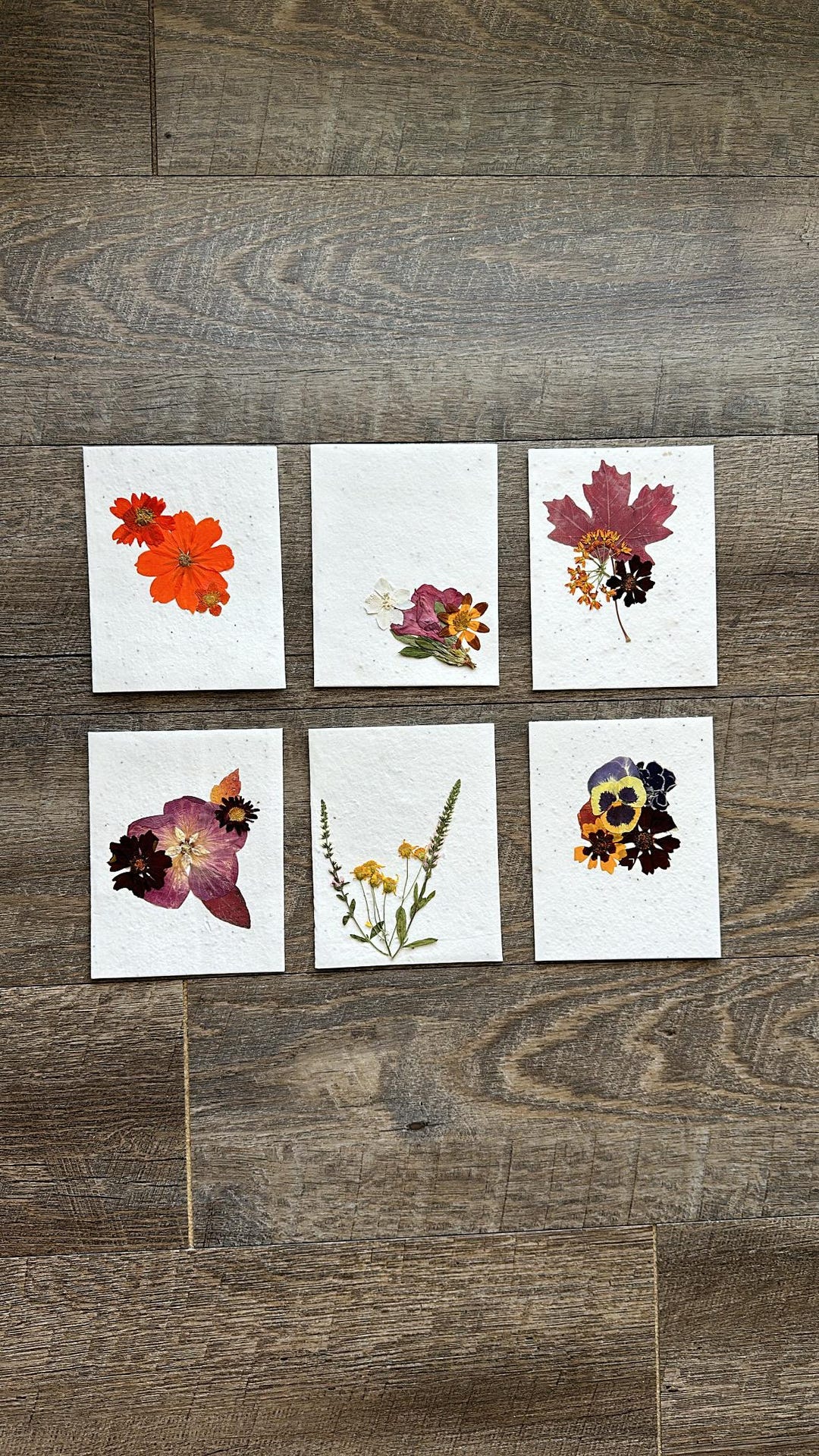 Plantable Flower Seed Note Cards Eco-friendly Cards Real Pressed Flower ...
