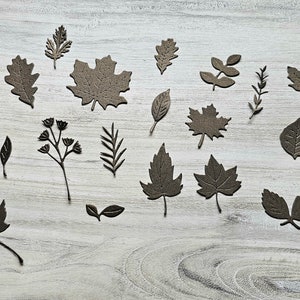 Autumn Leaves Die Cuts-leaf Element-acid Free Leaf Cuts-sycamore-maple ...