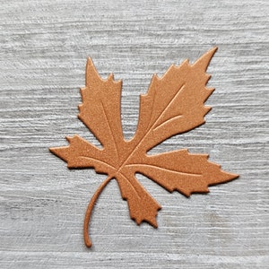 Autumn Leaves Die Cuts-leaf Element-acid Free Leaf Cuts-sycamore-maple ...