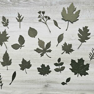 Autumn Leaves Die Cuts-leaf Element-acid Free Leaf Cuts-sycamore-maple ...