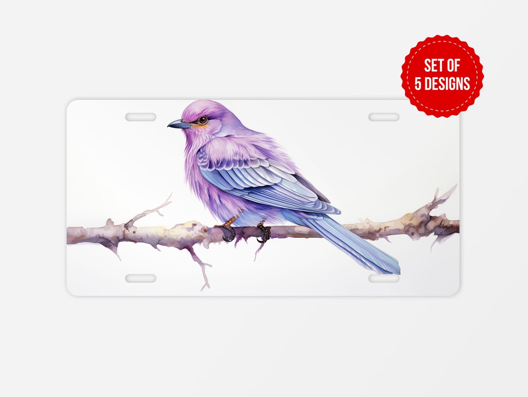 Lilac Bird License Plate Sublimation Design, Lilac Breasted Roller Car ...