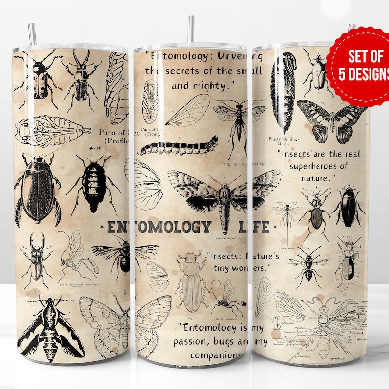 Entomology - Etsy
