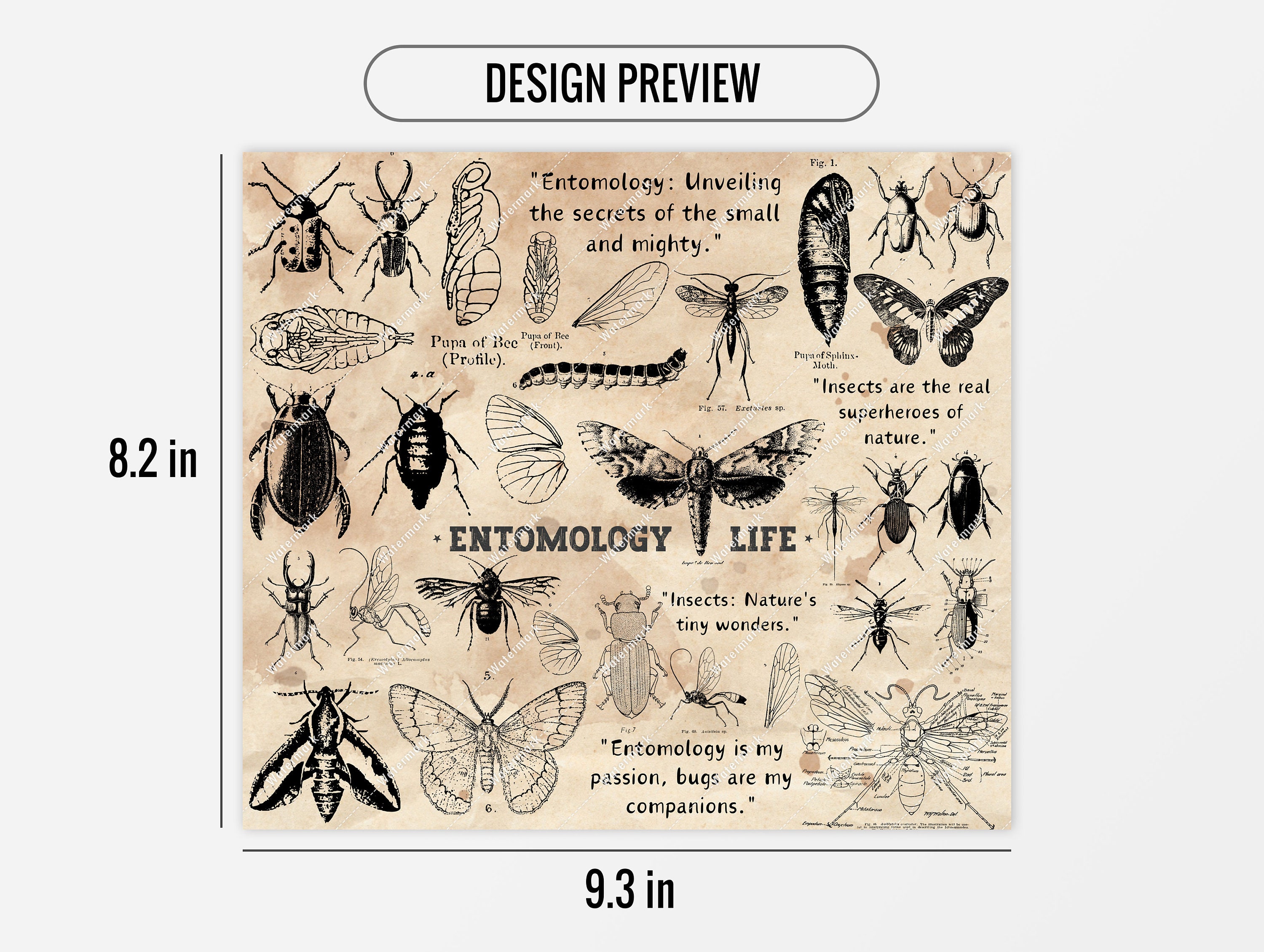 Entomology Life Tumbler Wrap Sublimation Design, Skinny 20oz Straight ...