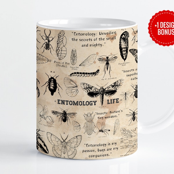 Entomology - Etsy