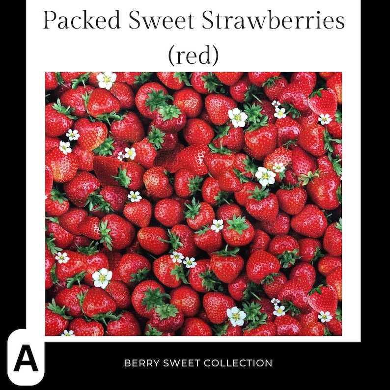 Timeless Treasures Coordinating Strawberry Fabric, Sewing, Quilting ...