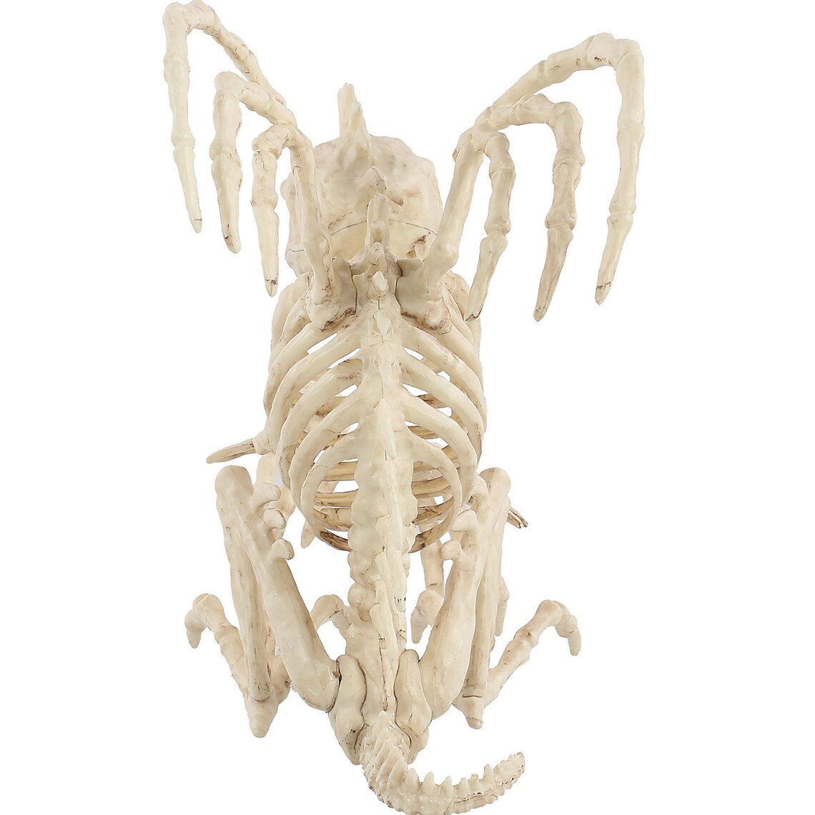 Spooky 10 Skeleton Gargoyle Halloween Decoration - Etsy