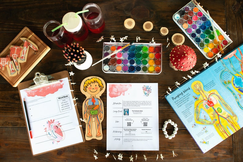 Human Body Elementary Homeschool Science Unit (digital) - Etsy