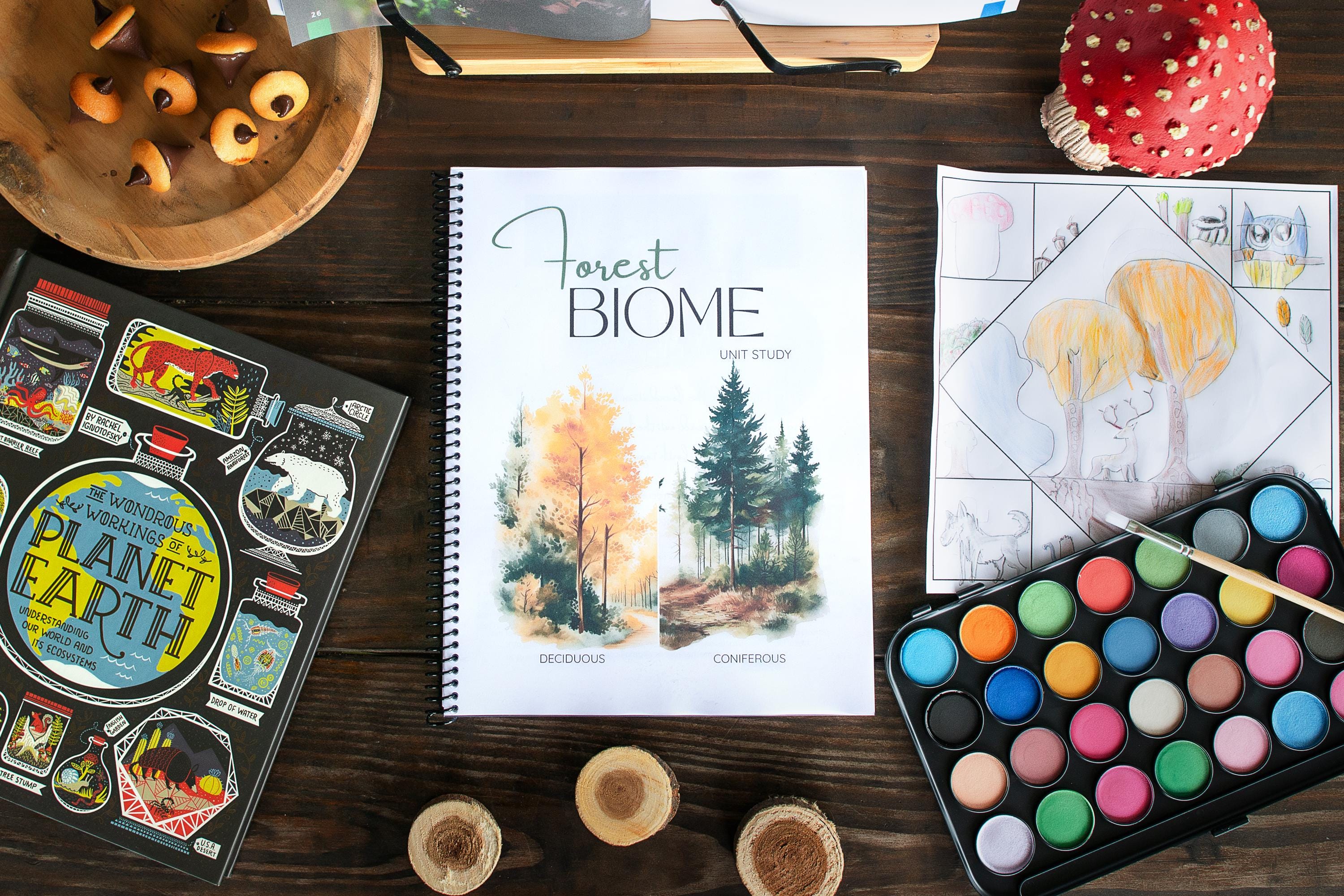 Forest Biome | Unit Study, Curriculum, Elementary, Charlotte Mason ...