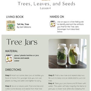 Forest Biome | Unit Study, Curriculum, Elementary, Charlotte Mason ...
