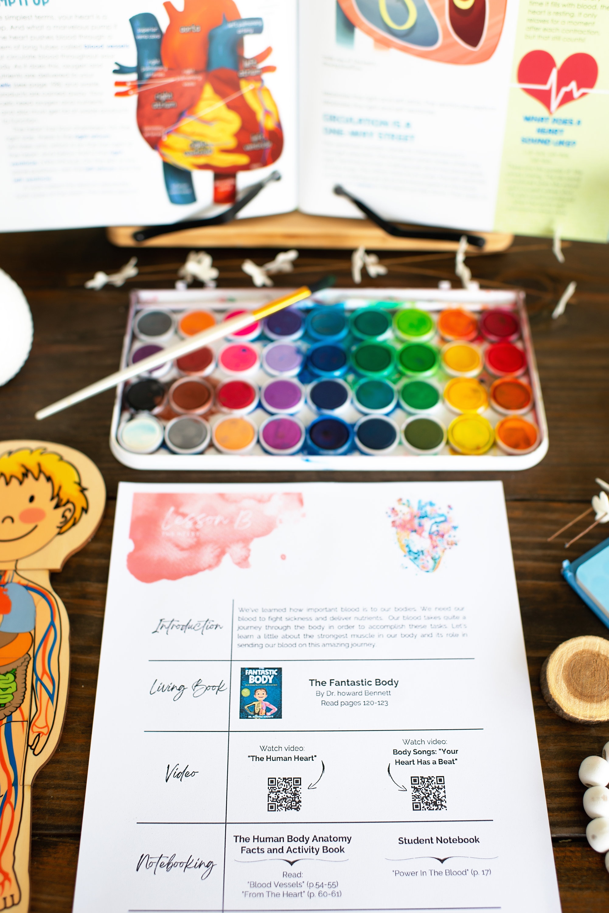 Human Body Elementary Homeschool Science Unit (digital) - Etsy