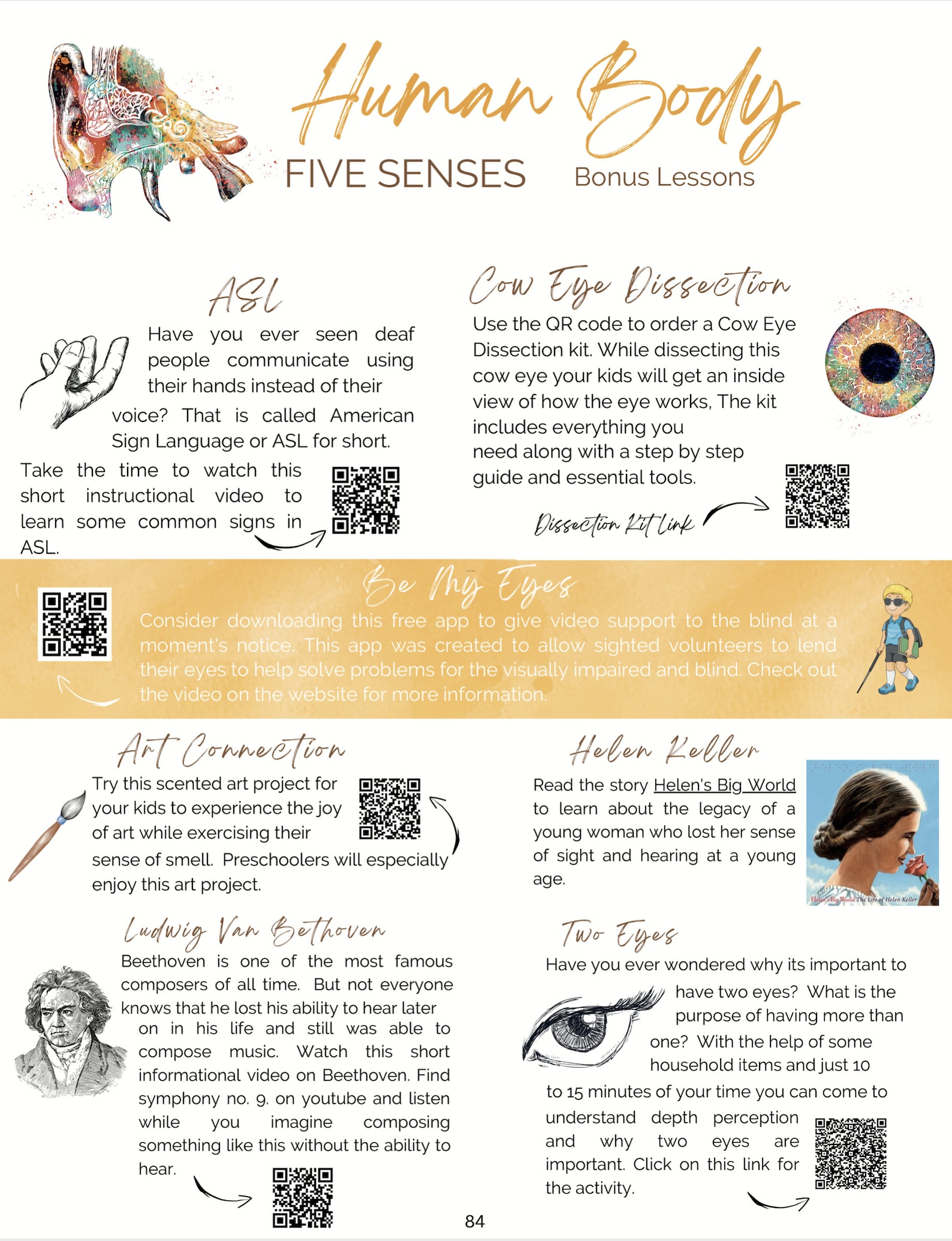 Human Body Elementary Homeschool Science Unit (digital) - Etsy