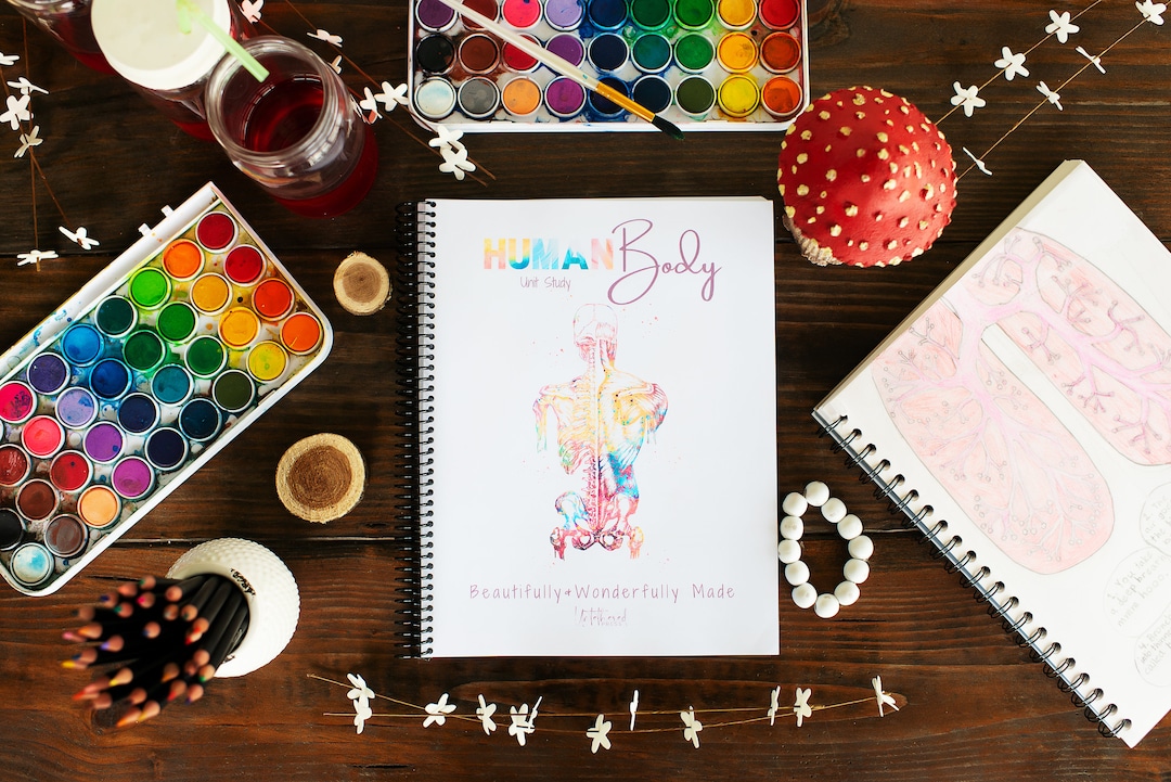 Human Body Elementary Homeschool Science Unit (digital) - Etsy
