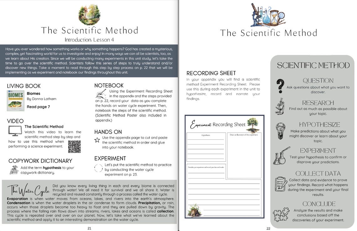 Forest Biome | Unit Study, Curriculum, Elementary, Charlotte Mason ...