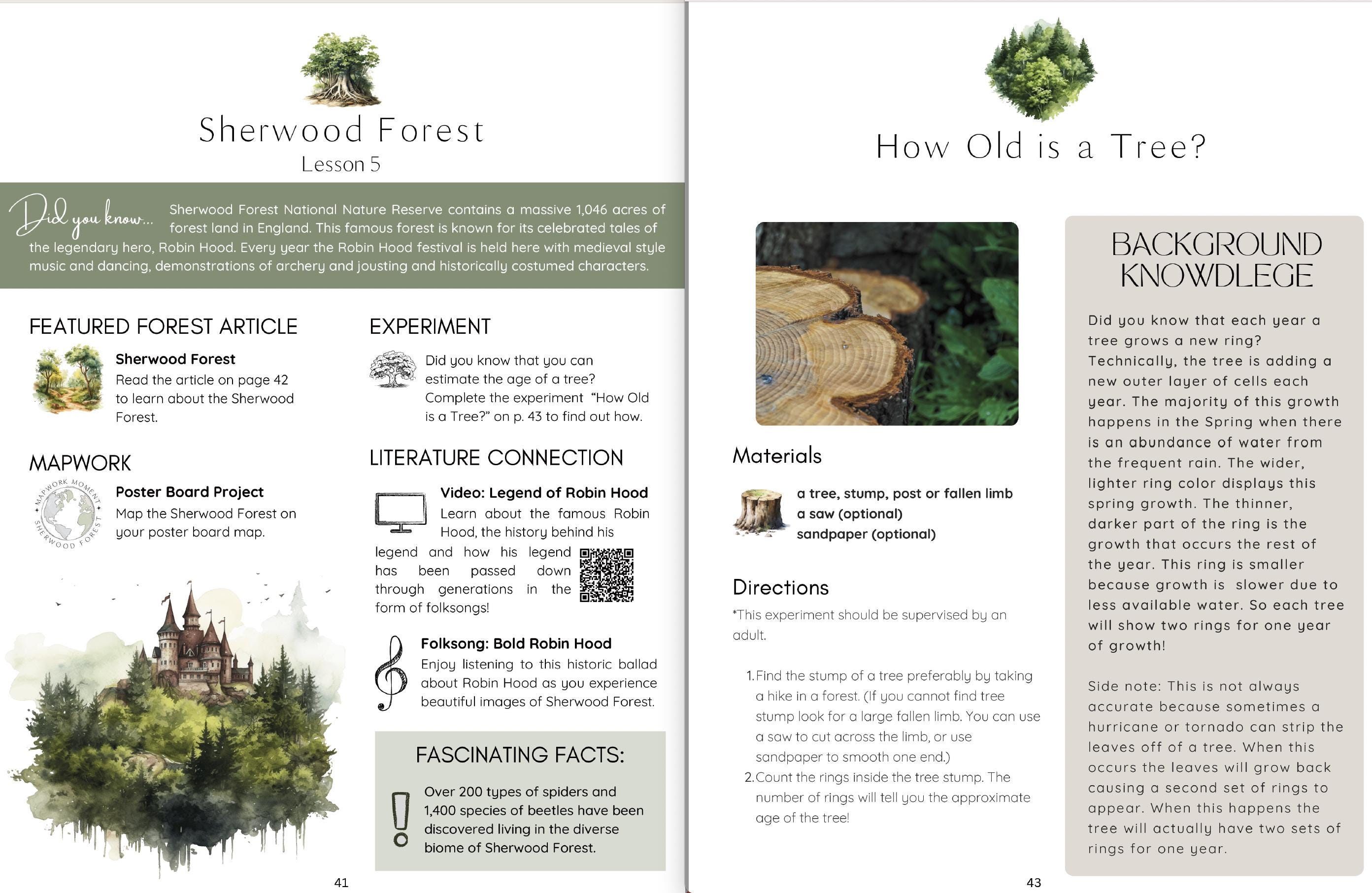 Forest Biome Unit Study | Elementary Homeschool Curriculum (digital) - Etsy