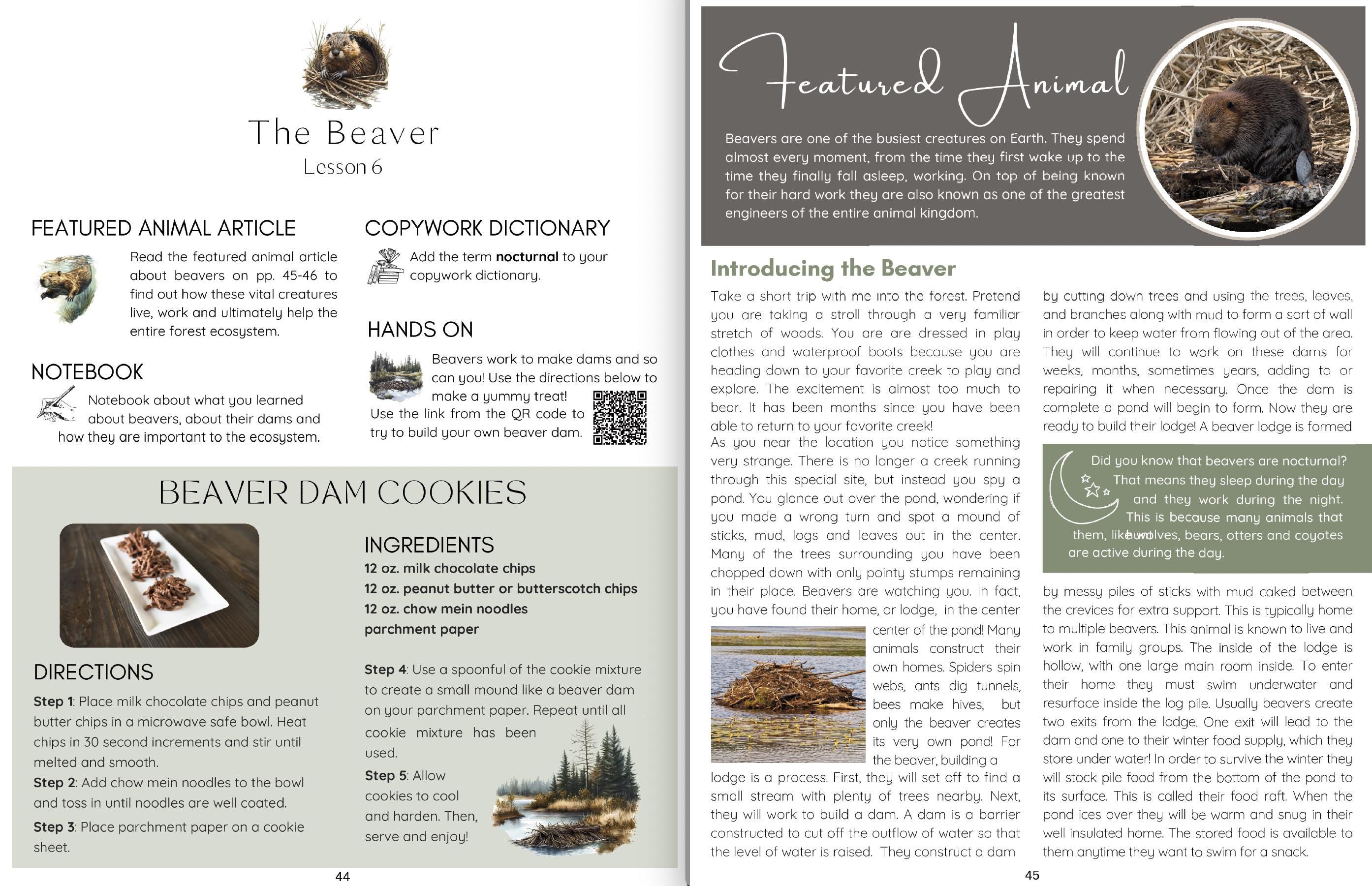 Forest Biome | Unit Study, Curriculum, Elementary, Charlotte Mason ...