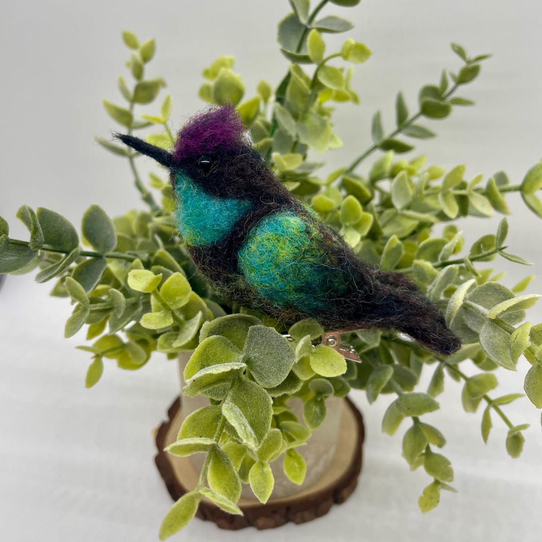 Needle Felted Rivoli's Hummingbird - Etsy