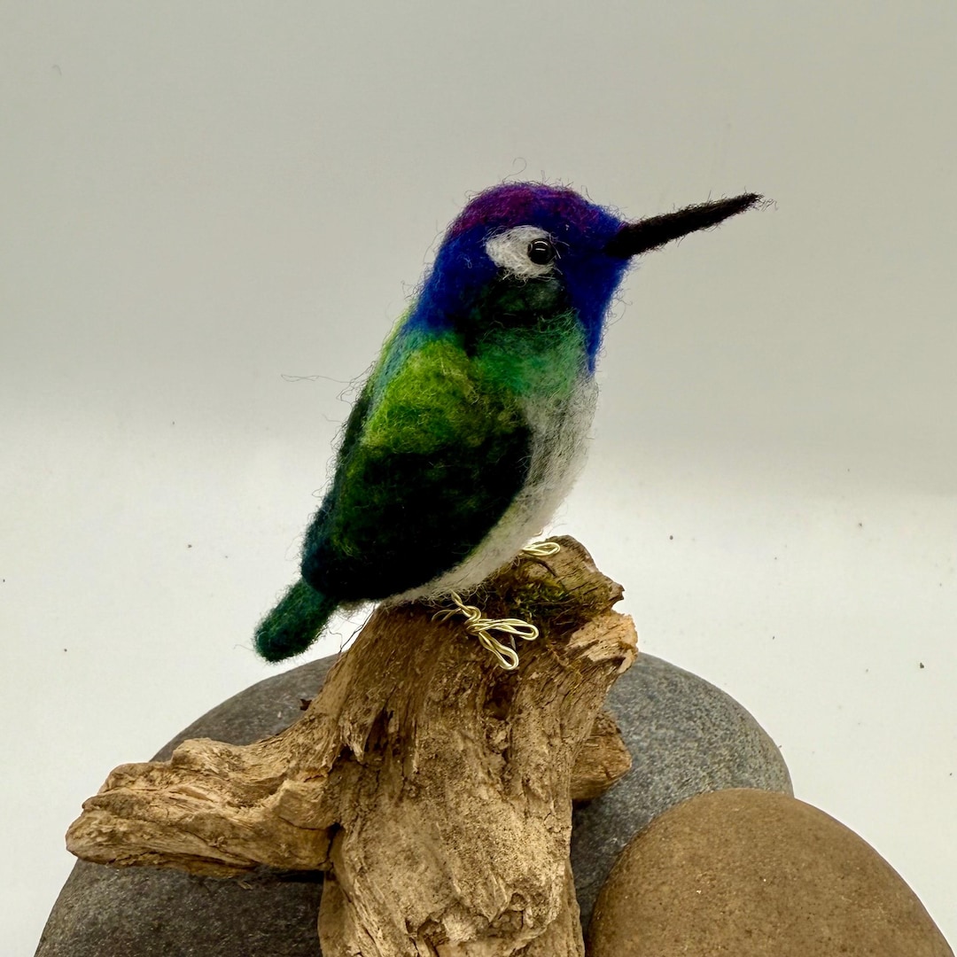 Violet-headed Hummingbird, Needle Felted Bird, Gift, Handmade, Wool ...