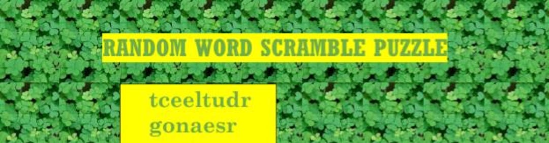 Random Scrambled Words Puzzle - Etsy